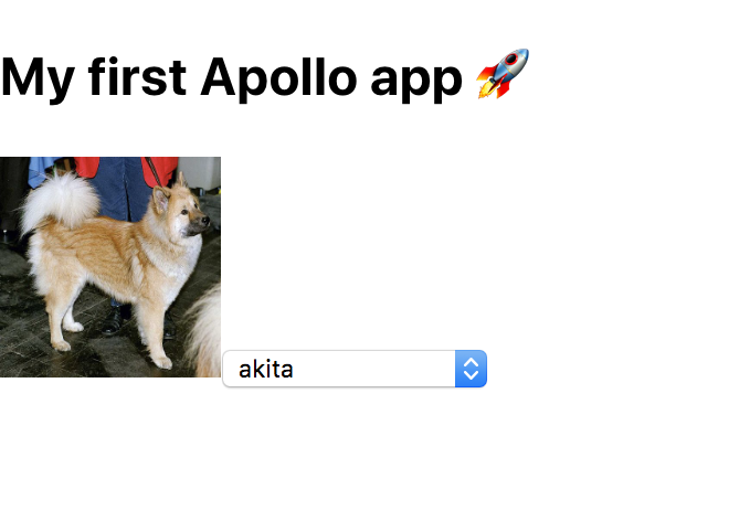 チュートリアルで学ぶApollo Client - Queries